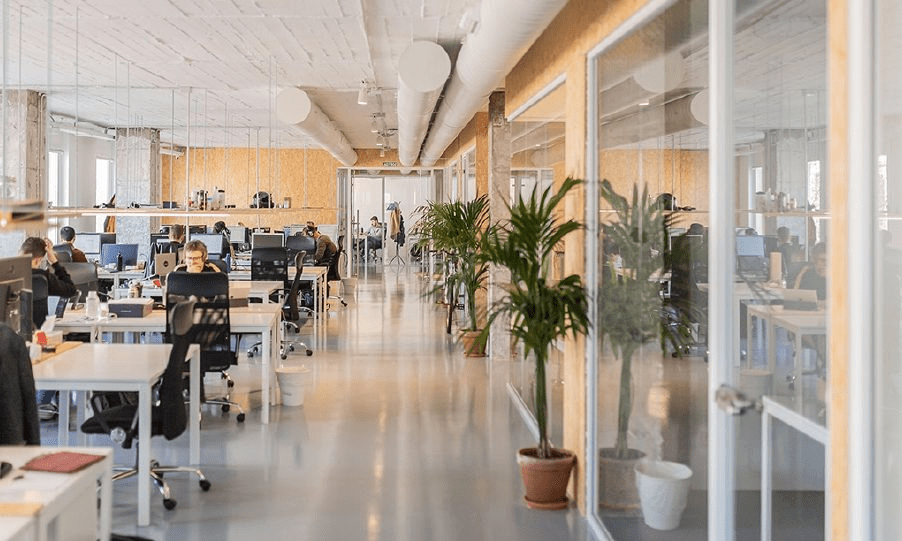 A unique career - Optima Media