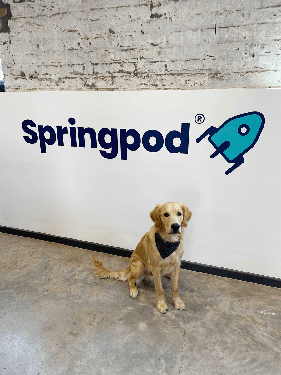 Be part of something bigger. - Springpod