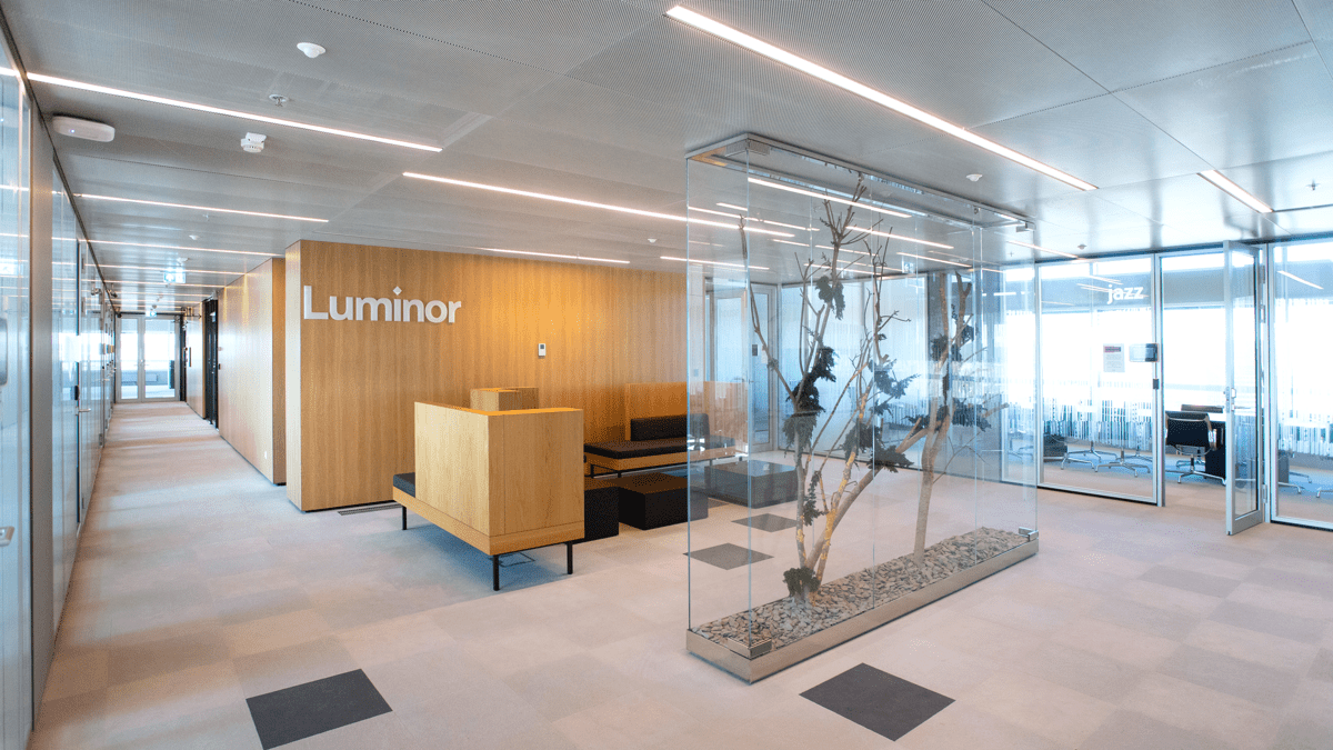 A unique career - Luminor Group