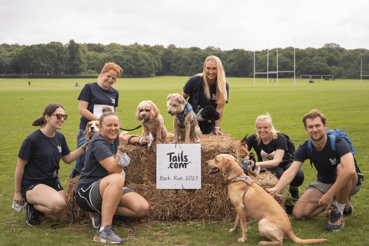 Welcome to our career site - tails.com