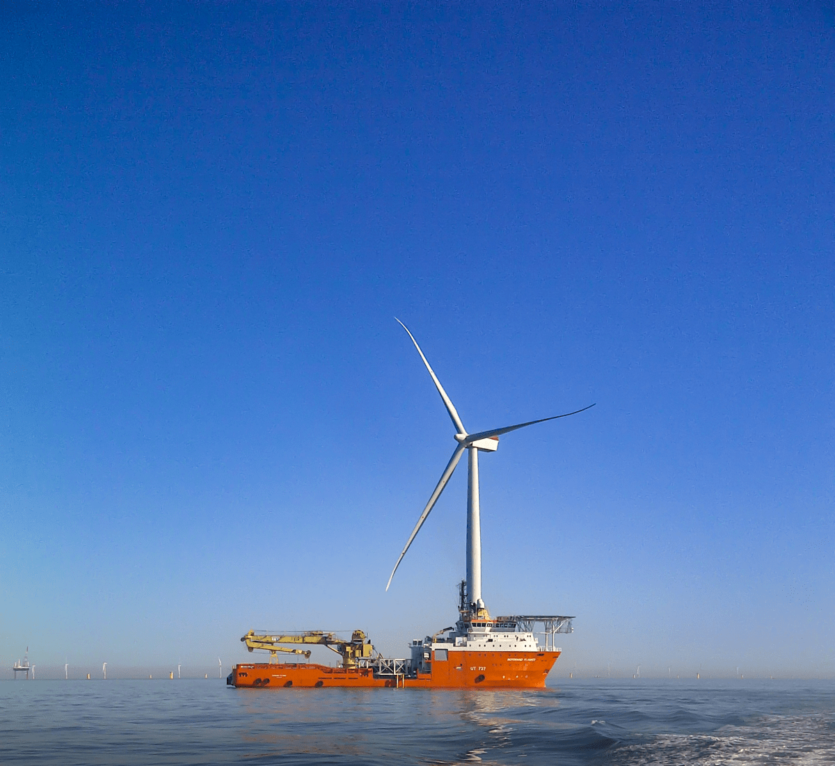 Are you the right candidate to join our team? - Andrews Survey