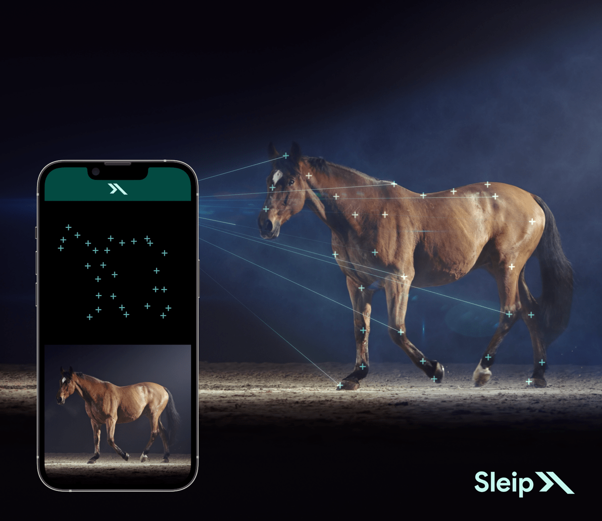 A unique career - Sleip AI AB