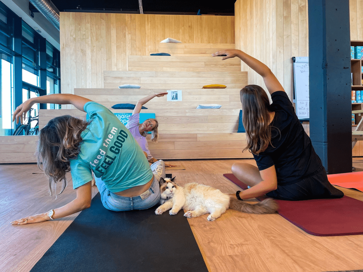 Careers - Edgard & Cooper