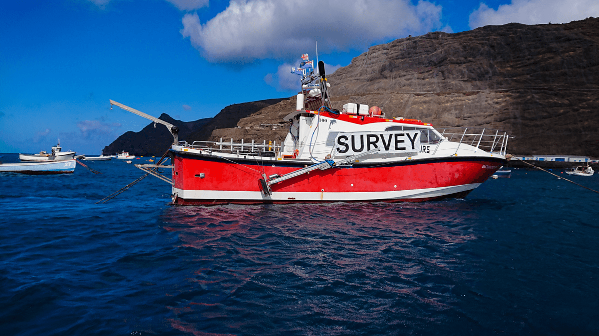 Are you the right candidate to join our team? - Andrews Survey