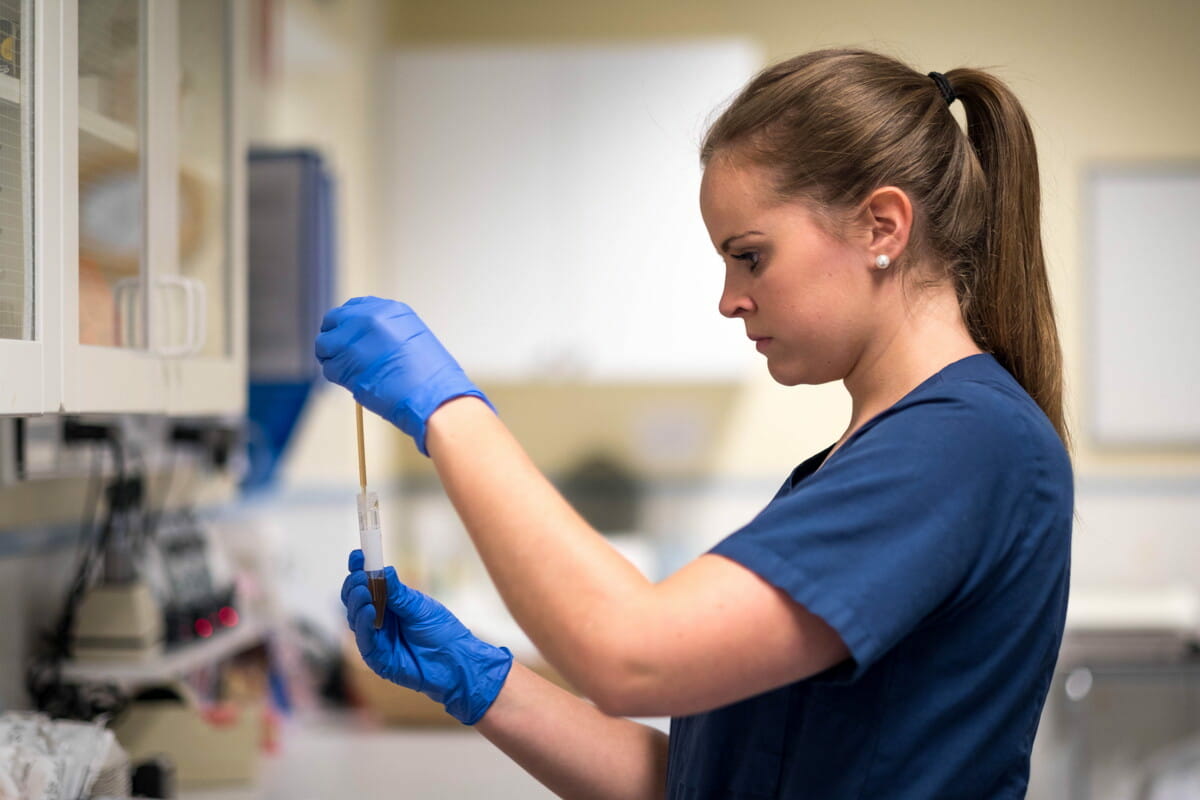 Lab - Evidensia Djursjukvård