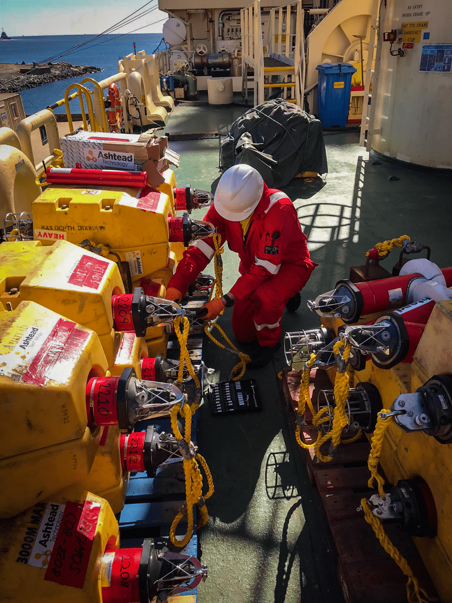 Are you the right candidate to join our team? - Andrews Survey