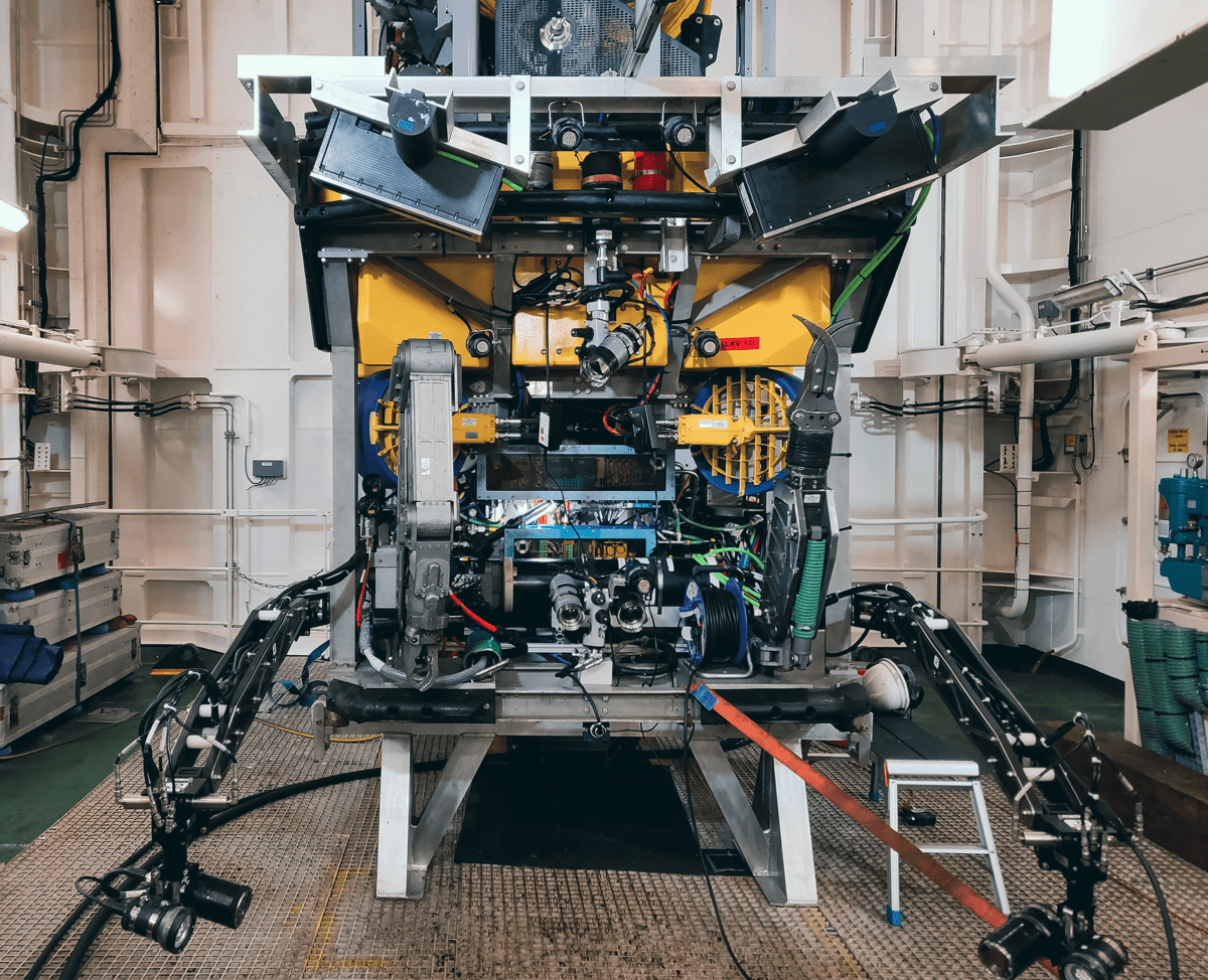 Are you the right candidate to join our team? - Andrews Survey