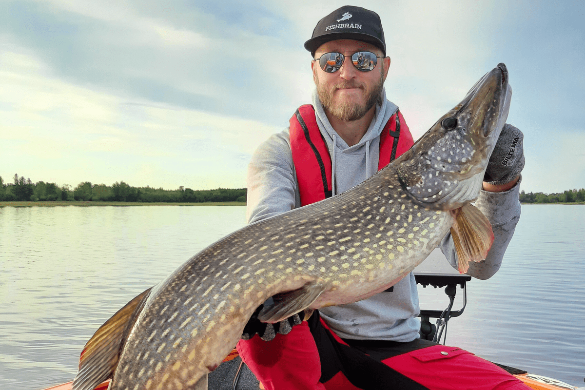 Who are we? - Fishbrain