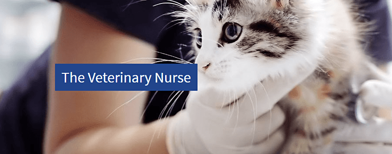 Career Opportunities at Mark Allen - Mark Allen Group