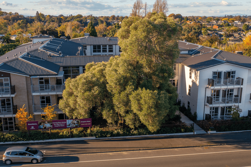 Hamilton | Awatere - Oceania