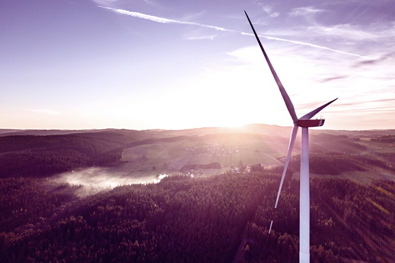 Want to help change the world? - Ripple Energy